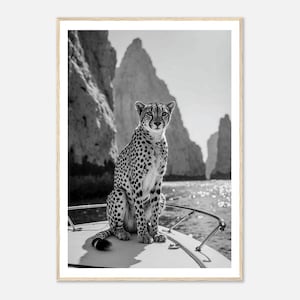 Fine Art Cheetah Black and White Print - Wild Cheetah on Yacht Print ...