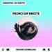 Pedro Meme Emote Animated Gif Tiktok Raccoon Twitch Emote Meme Emote ...