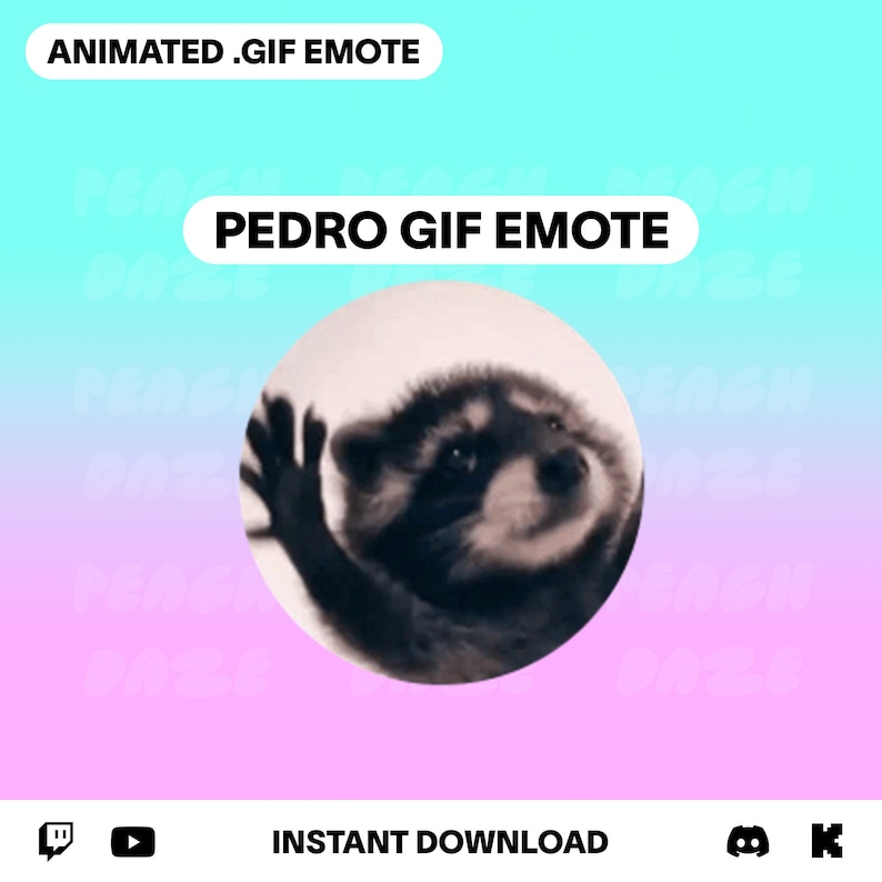 Pedro Meme Emote Animated Gif Tiktok Raccoon Twitch Emote Meme Emote ...