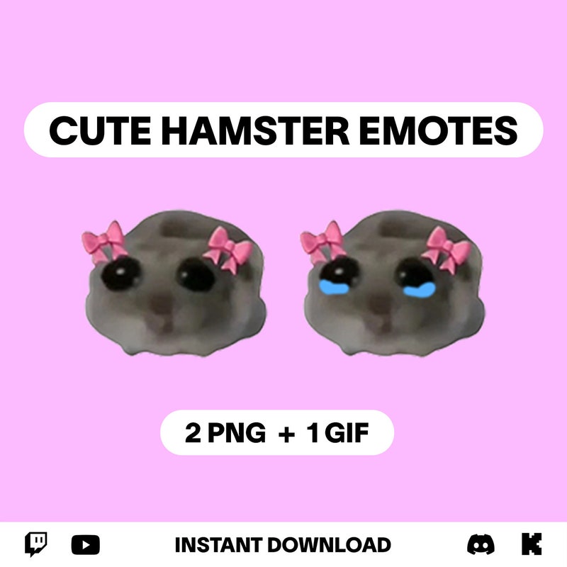 Sad Hamster With a Bow - Etsy