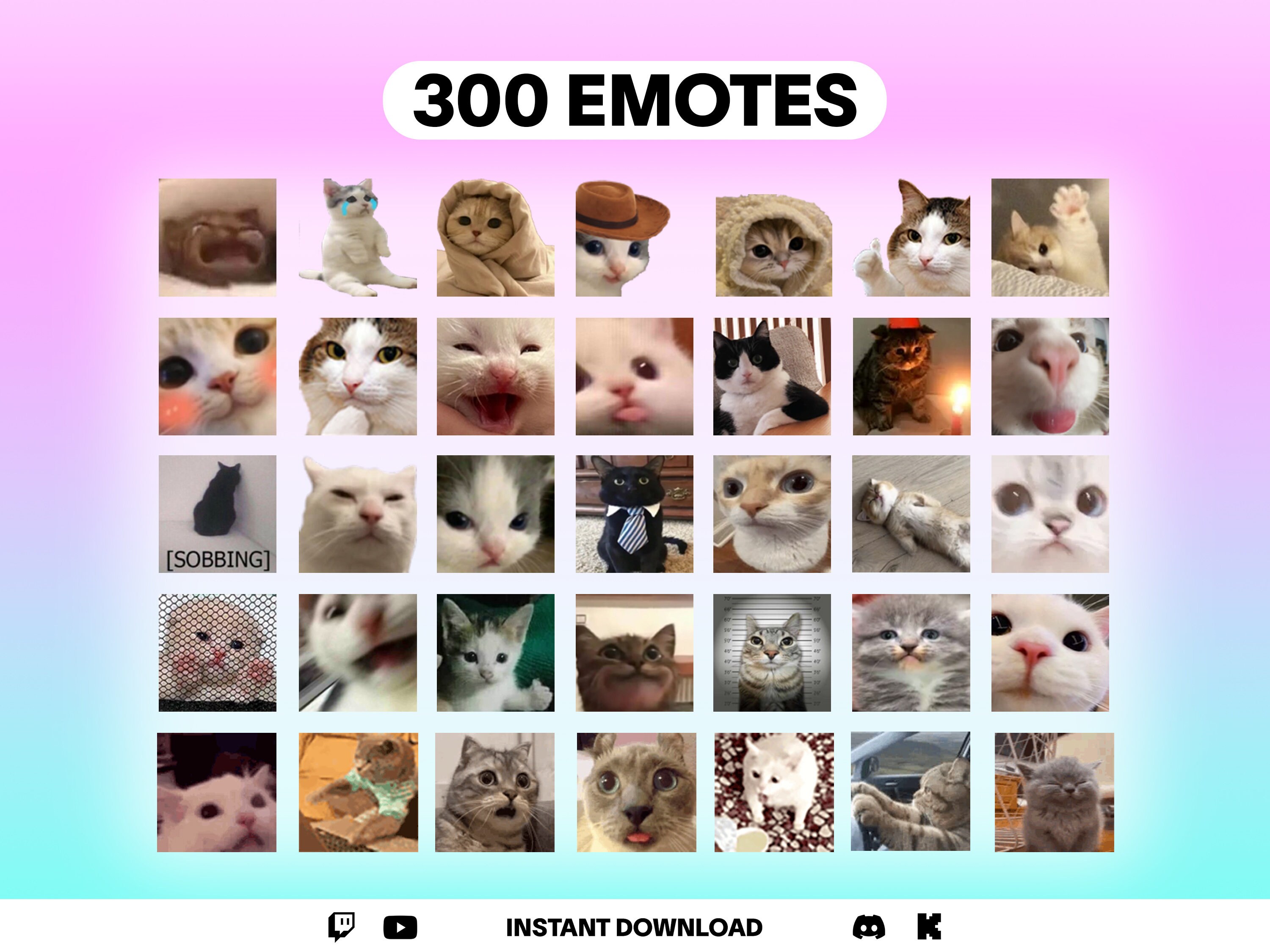 300+ Funny Cat Emotes Pack: Animated Twitch, Youtube, Discord (gif, Png ...