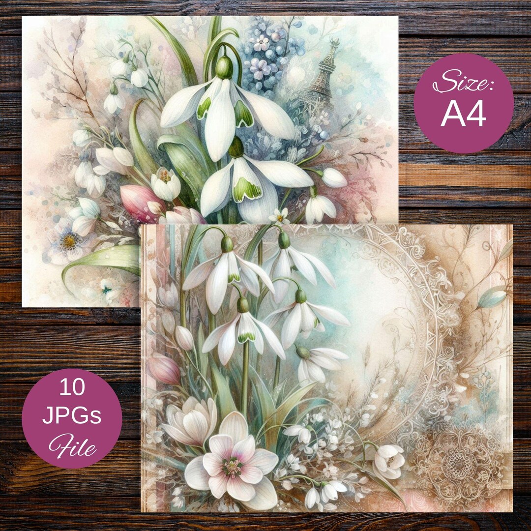 A4 Shabby Chic Vintage Snowdrop Clip Art Bundle 10 Watercolour JPG Junk ...