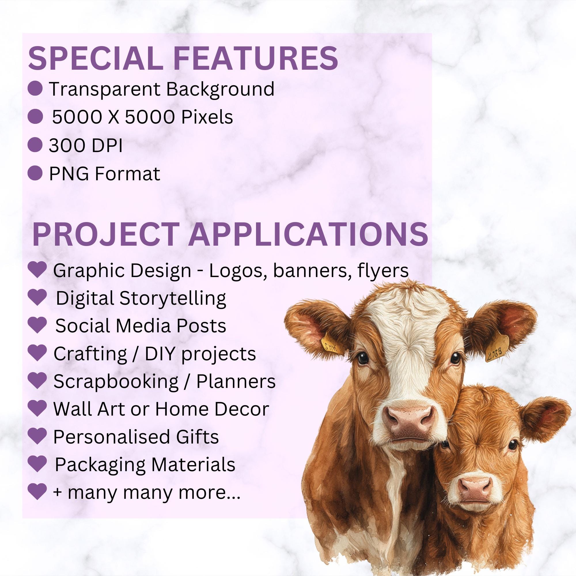 Cattle PNG, Hereford Cow Png, Cow and Calf, Digital Download, Cow ...