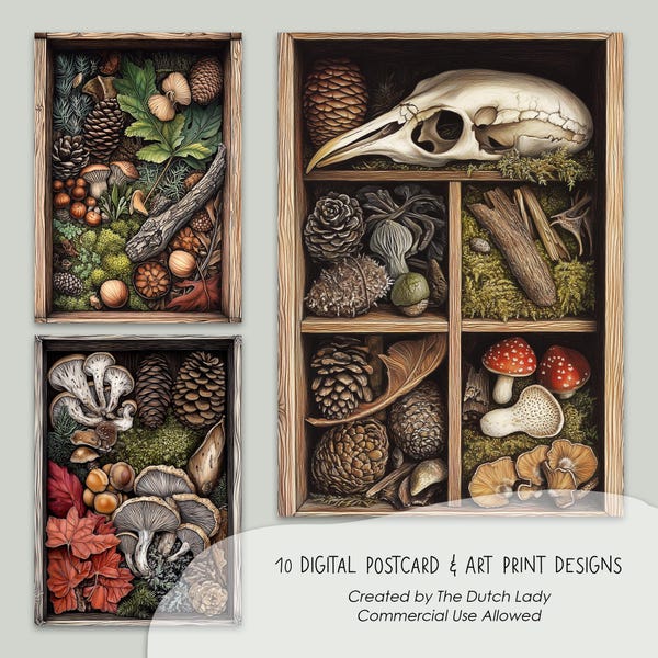 Treasure Box Designs - Etsy