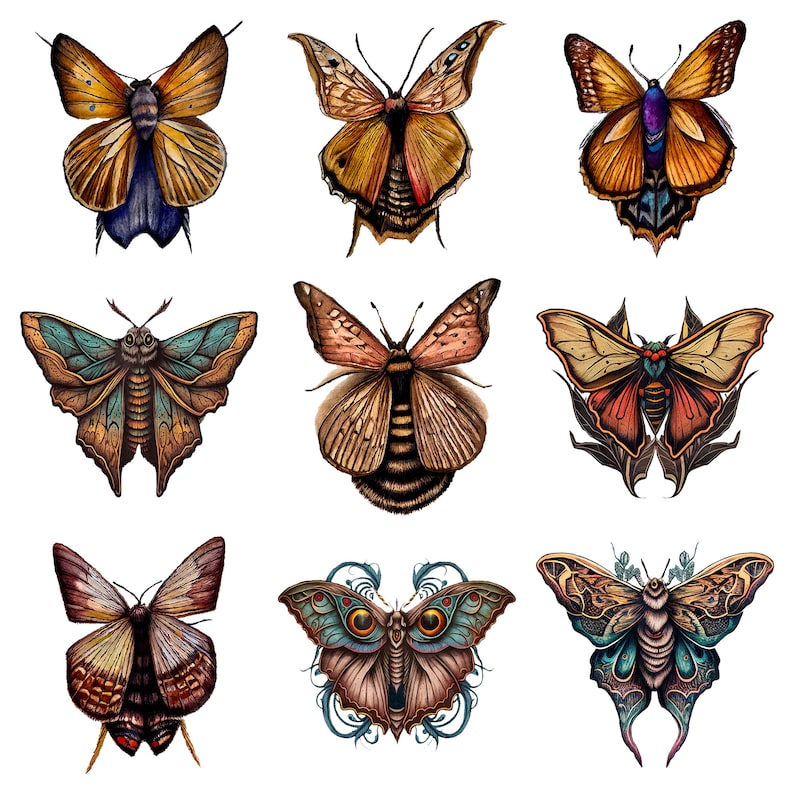 Mystical Gothic Moth Clipart Set Watercolor Decorations Digital ...