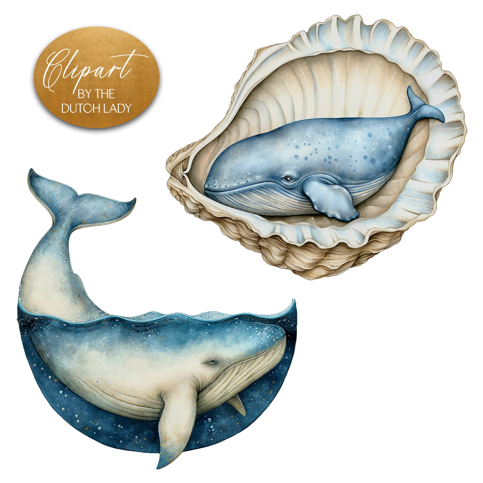 Whimsical Whales Clipart Set Enchanted Ocean & Sea Graphics Whale in ...