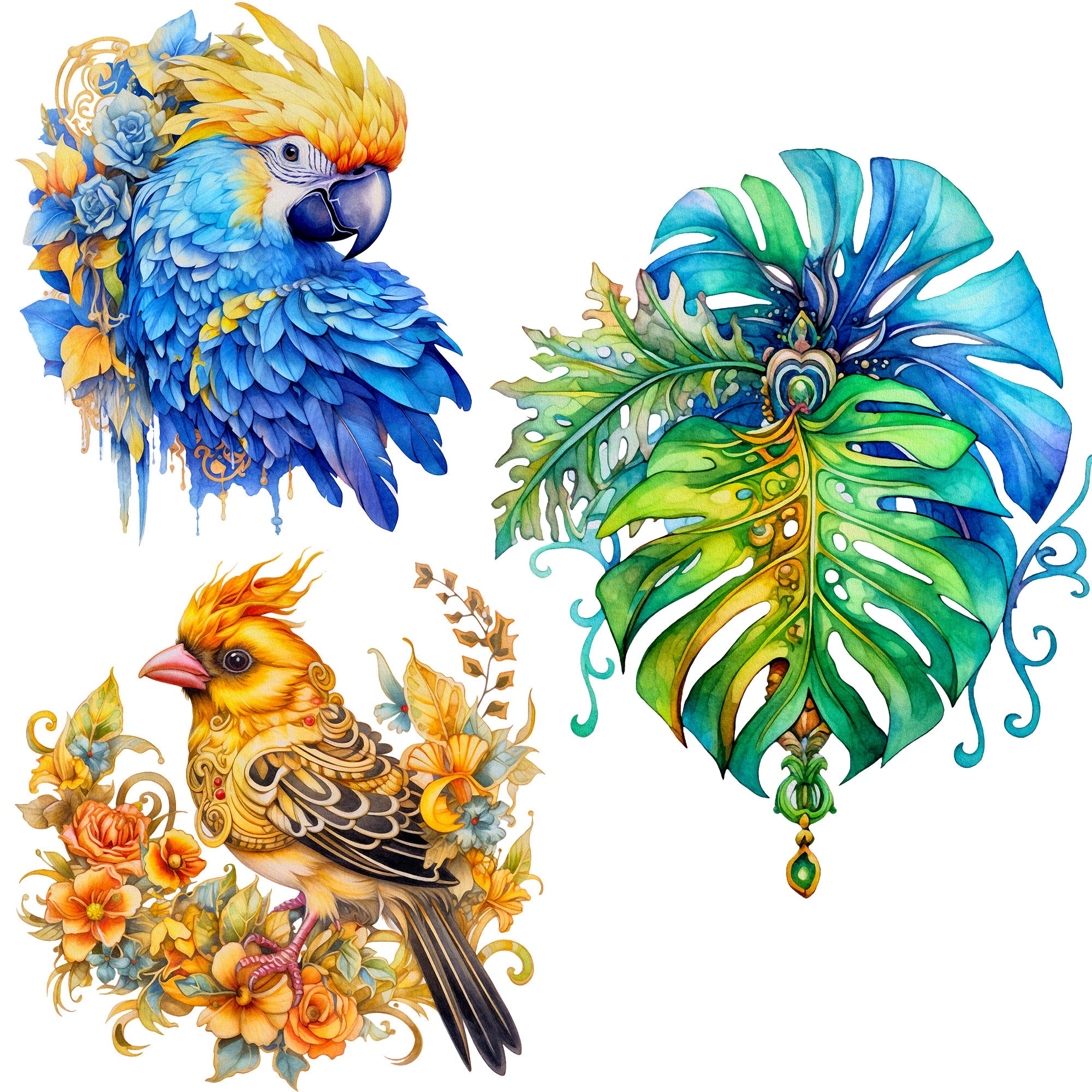 Tropical Birds Clipart Set - Colourful Jungle Bird & Monstera Leaves ...