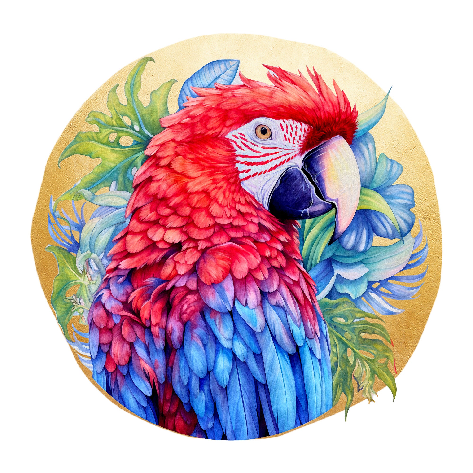 Tropical Birds Clipart Set - Colourful Jungle Bird & Monstera Leaves ...