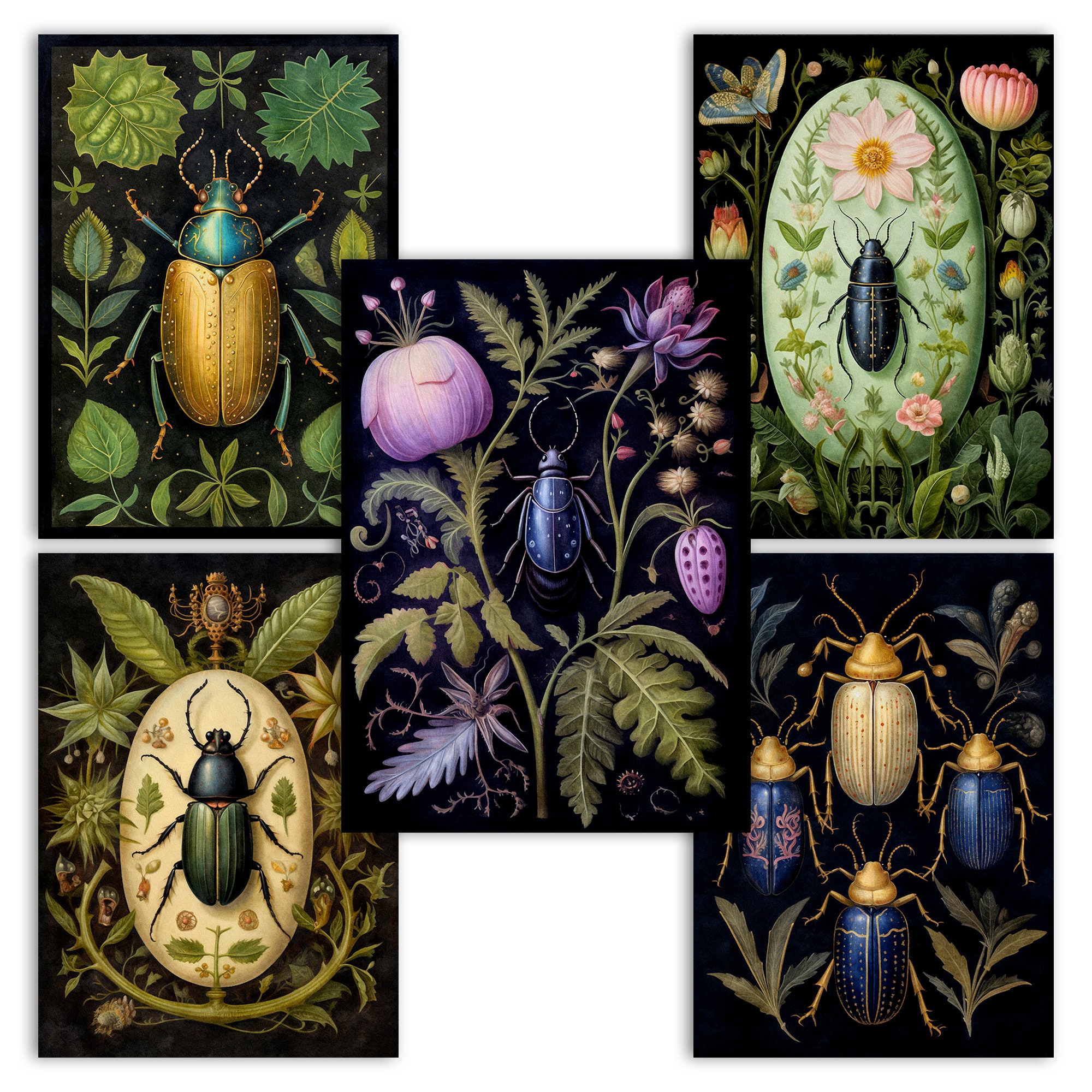 Botanical Beetle Postcard & Art Print Set Printable Digital - Etsy
