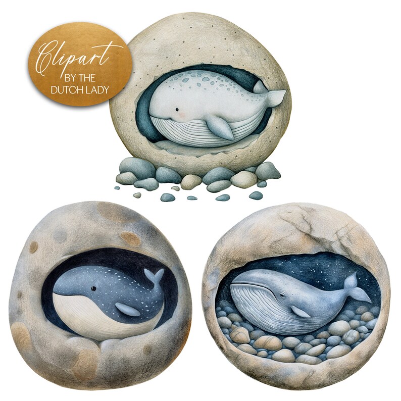 Whimsical Whales Clipart Set Enchanted Ocean & Sea Graphics Whale in ...