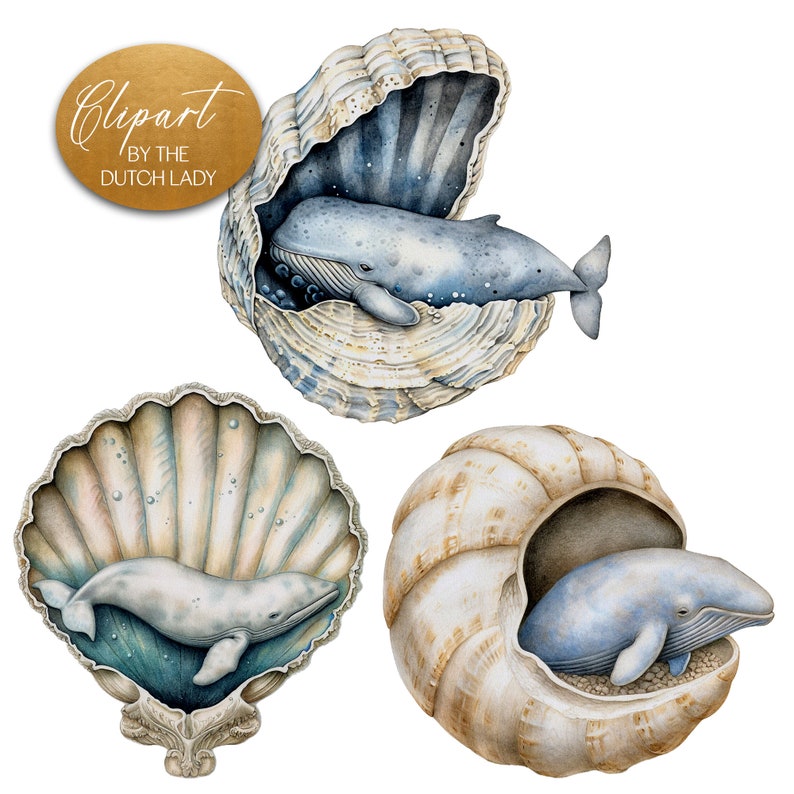 Whimsical Whales Clipart Set Enchanted Ocean & Sea Graphics Whale in ...