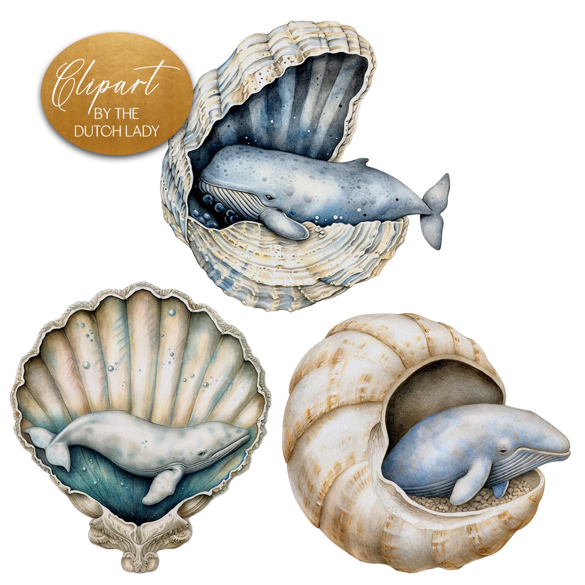 Whimsical Whales Clipart Set Enchanted Ocean & Sea Graphics Whale in ...