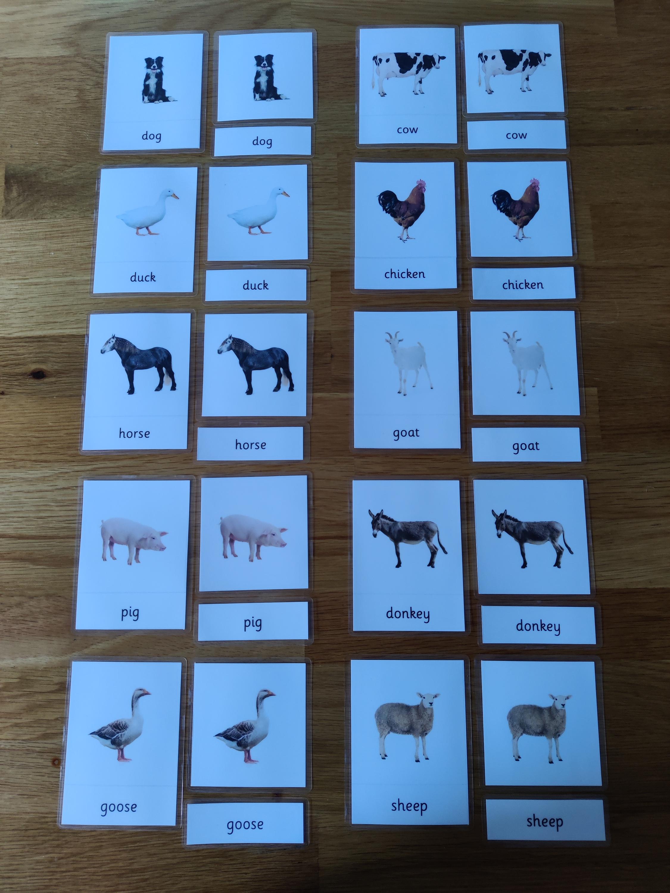 Montessori Farm Animal Classification Cards or Nomenclature 3 Part ...