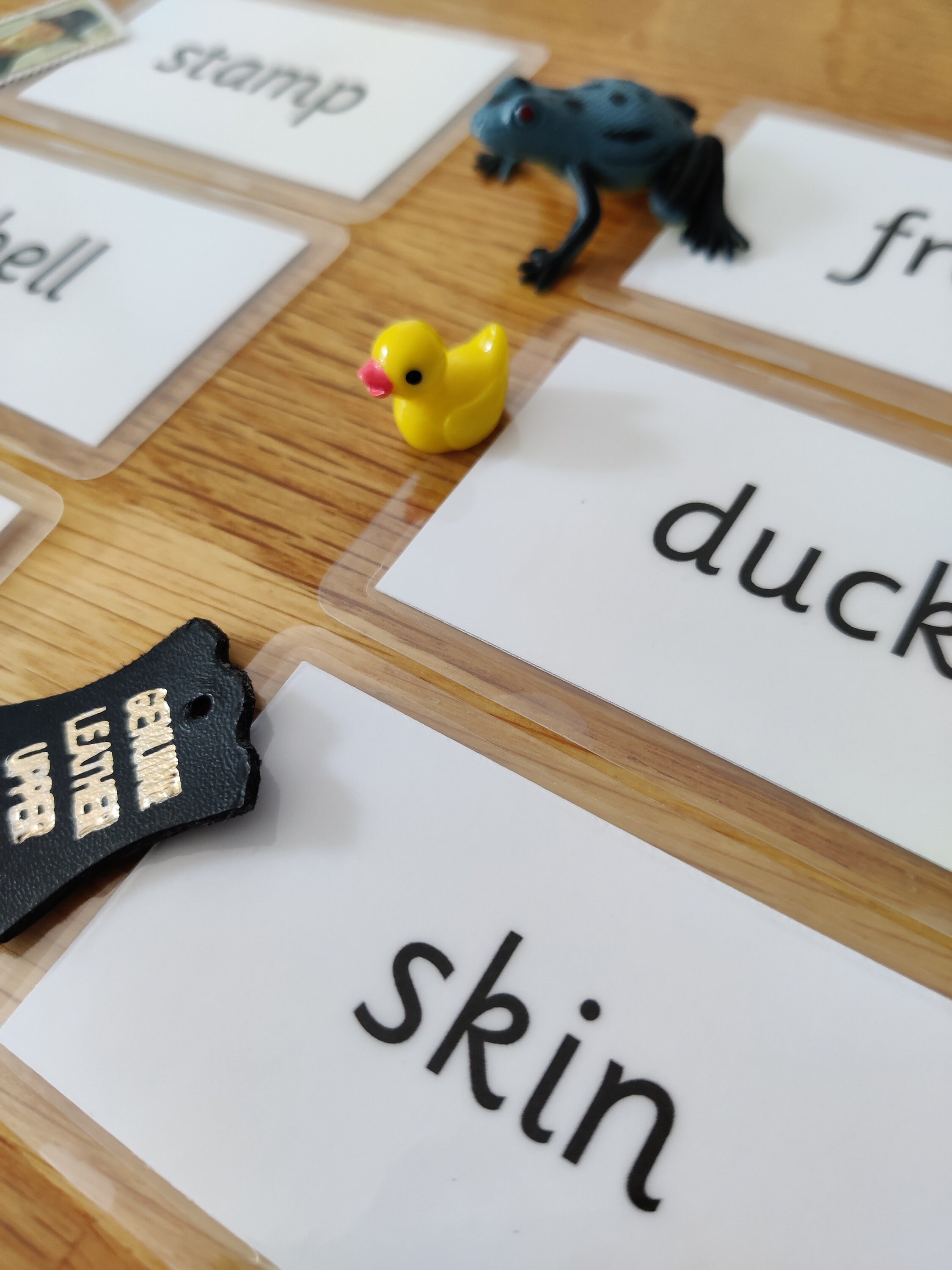 Montessori Blue Objects and Words for Early Readers. Box 3. UK Only ...