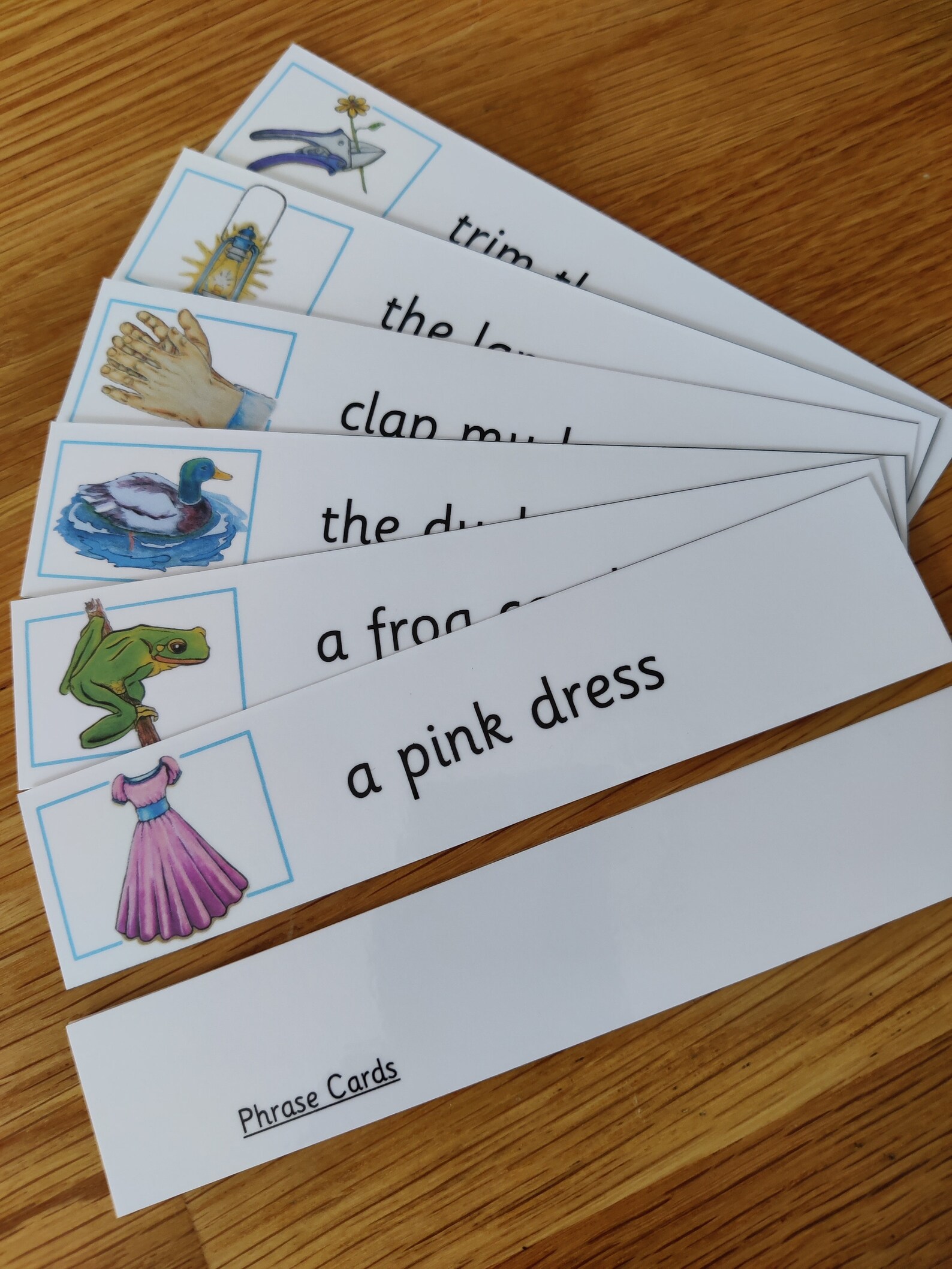 Montessori Early Reading Materials, Pink and Blue Phrase and Sentence ...
