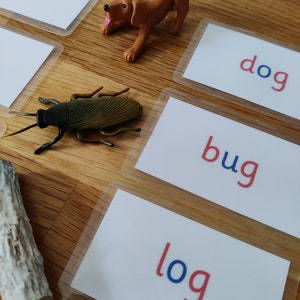 Montessori Pink Objects and Words for Early Readers. Box 3. UK Only ...