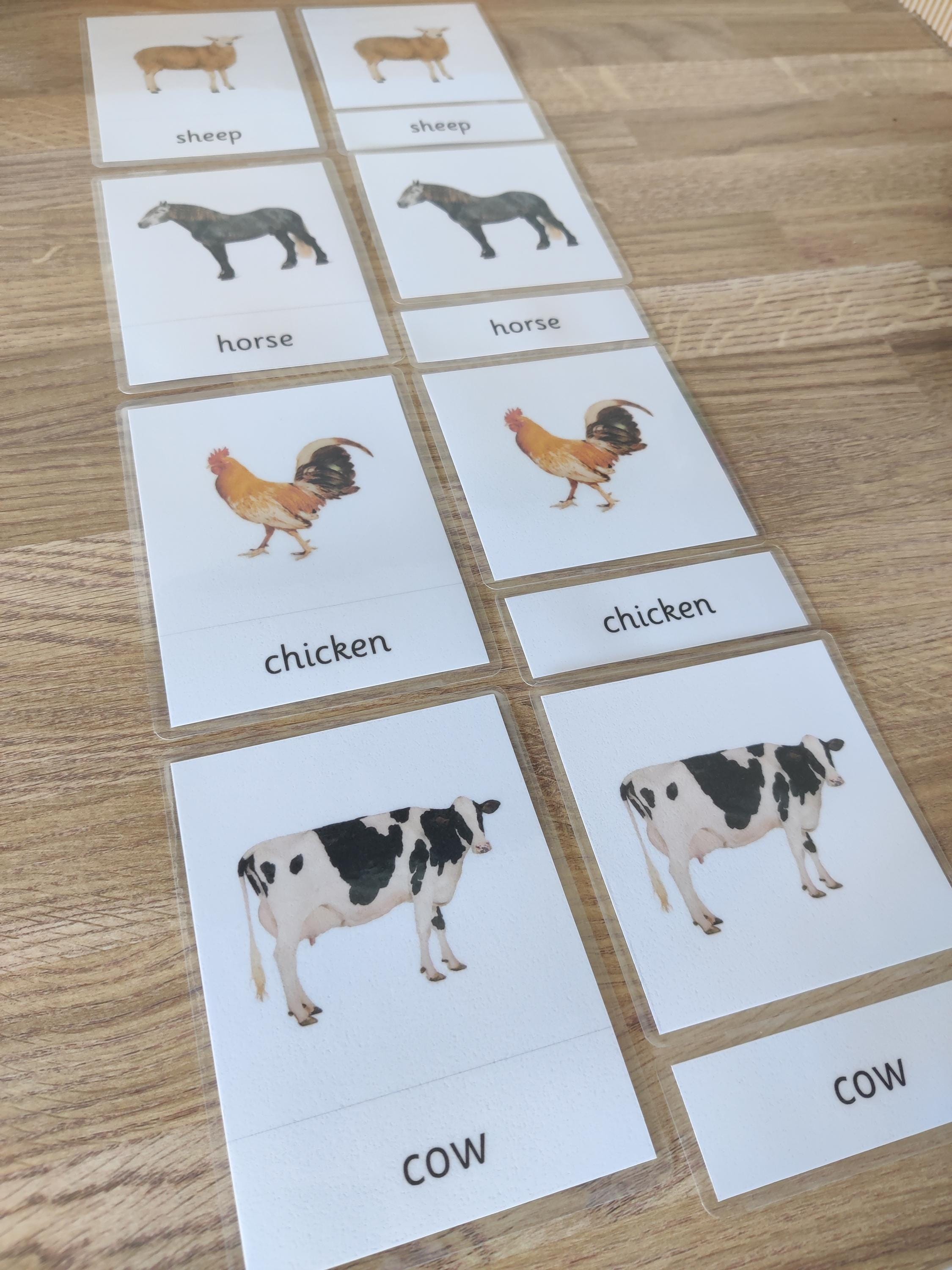 Montessori Farm Animal Classification Cards or Nomenclature 3 Part ...