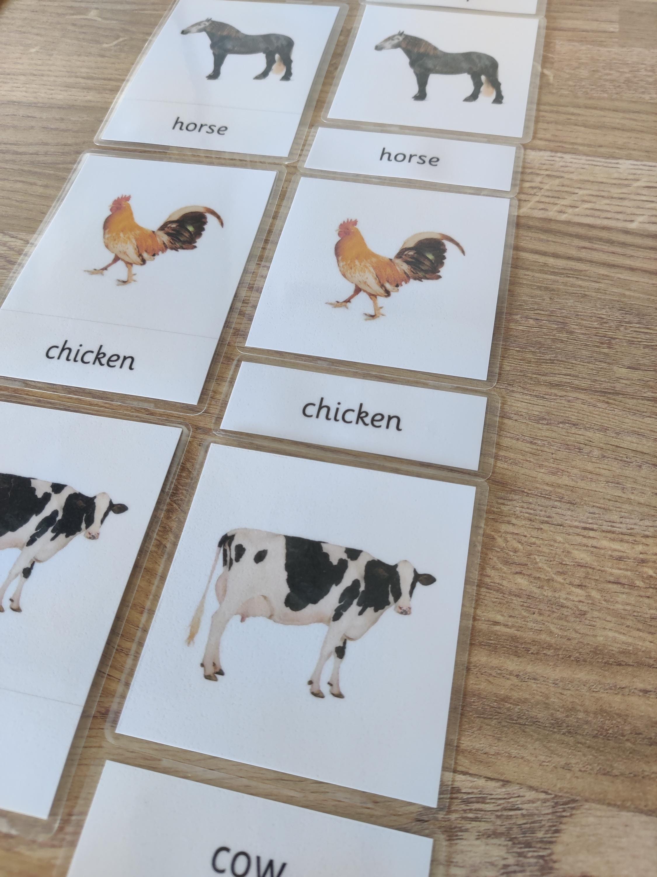 Montessori Farm Animal Classification Cards or Nomenclature 3 Part ...