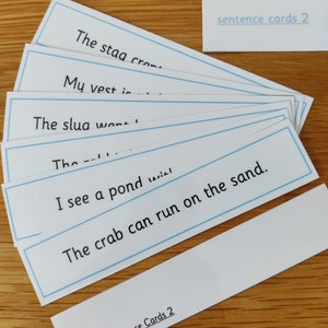 Montessori Early Reading Materials, Pink and Blue Phrase and Sentence ...