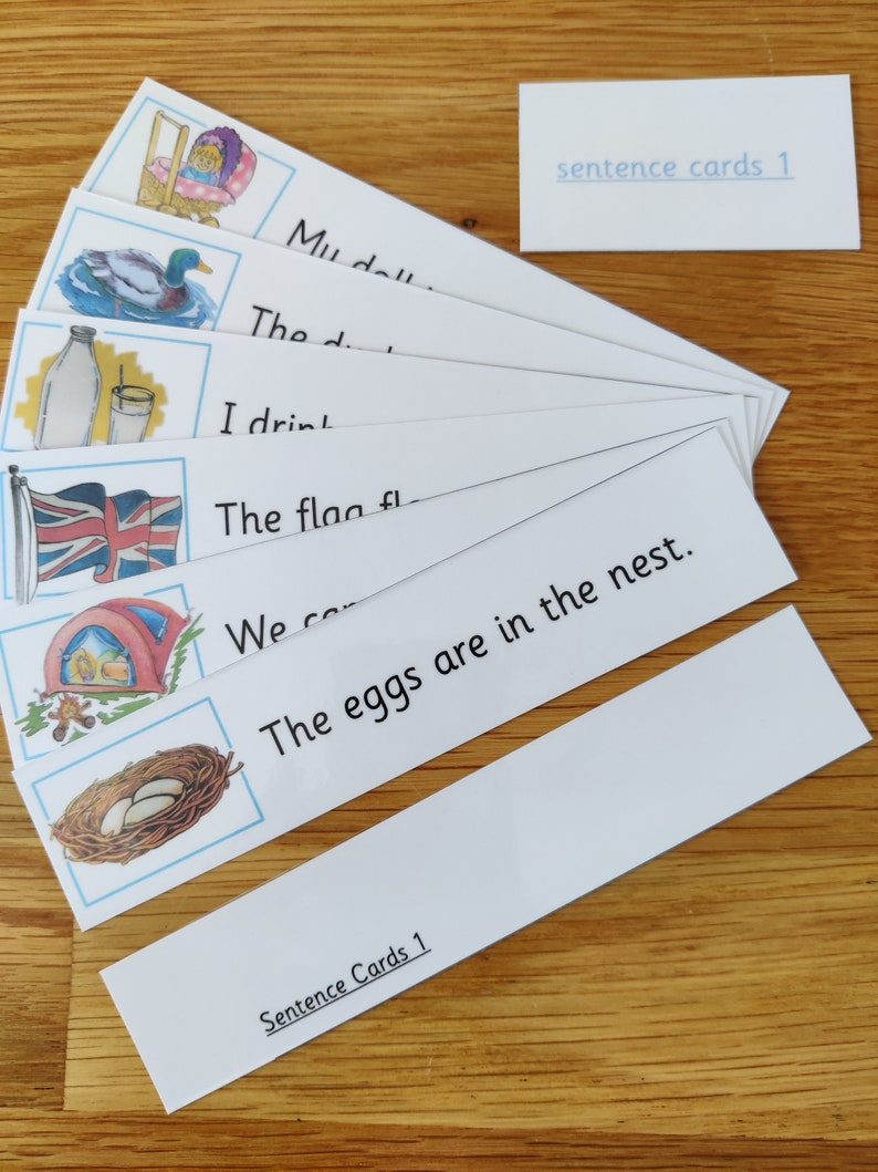 Montessori Early Reading Materials, Pink and Blue Phrase and Sentence ...