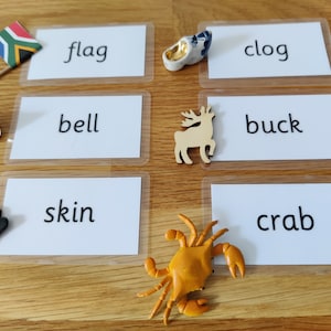 Montessori Blue Objects and Words for Early Readers. Box 1. UK Only ...