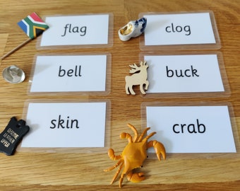 Montessori Blue Objects and Words for Early Readers. Box 3. UK Only ...