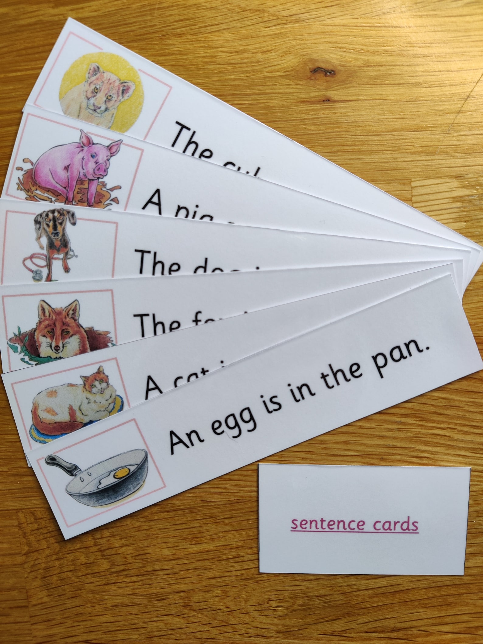 Montessori Early Reading Materials, Pink and Blue Phrase and Sentence ...