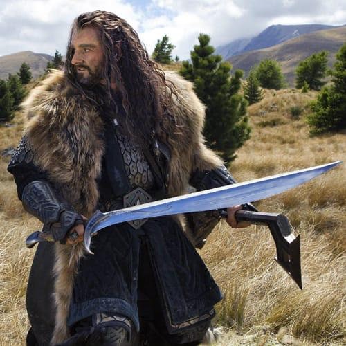 Thorin Cosplay
