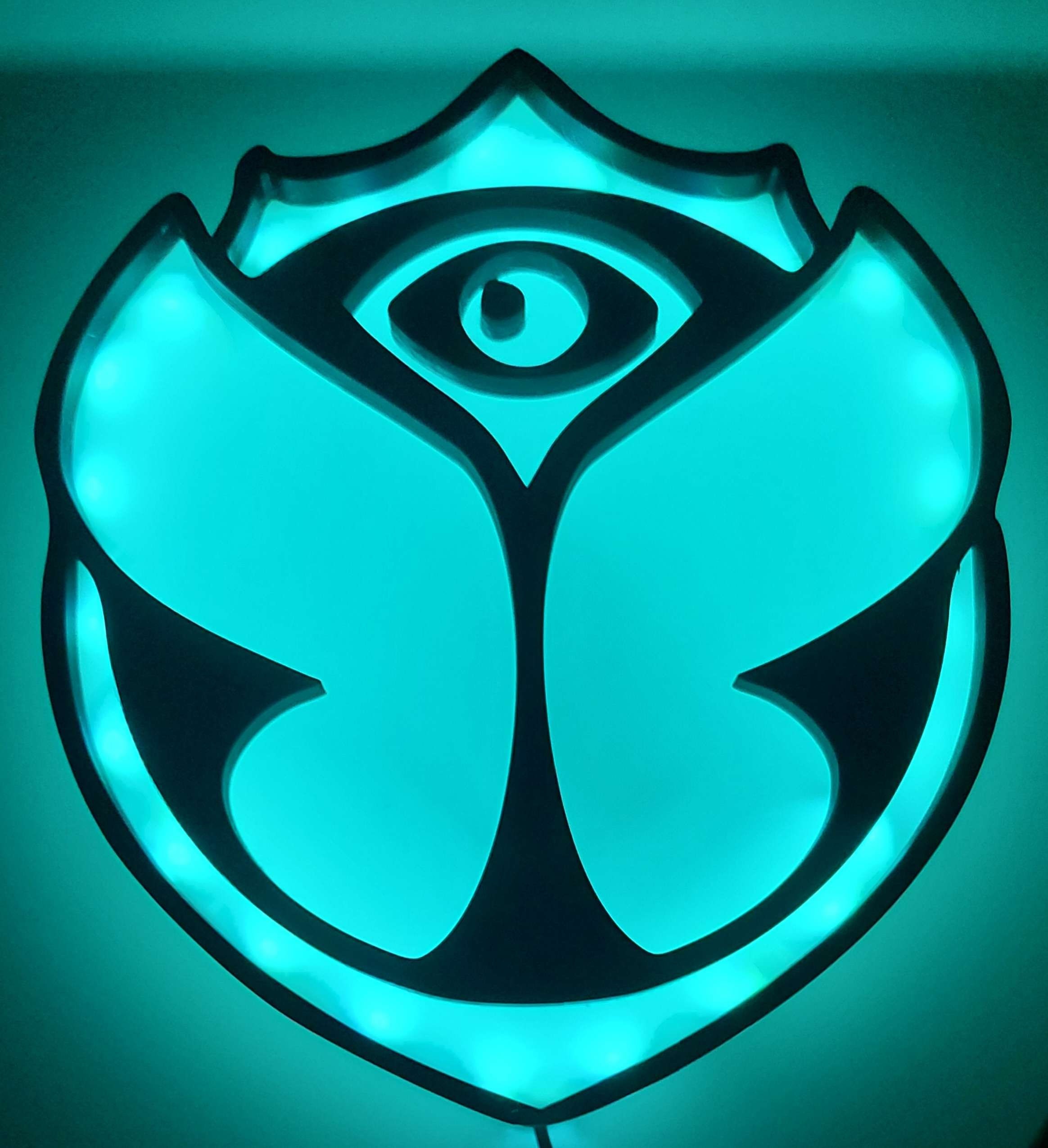 Tomorrowland Symbol Wallpaper