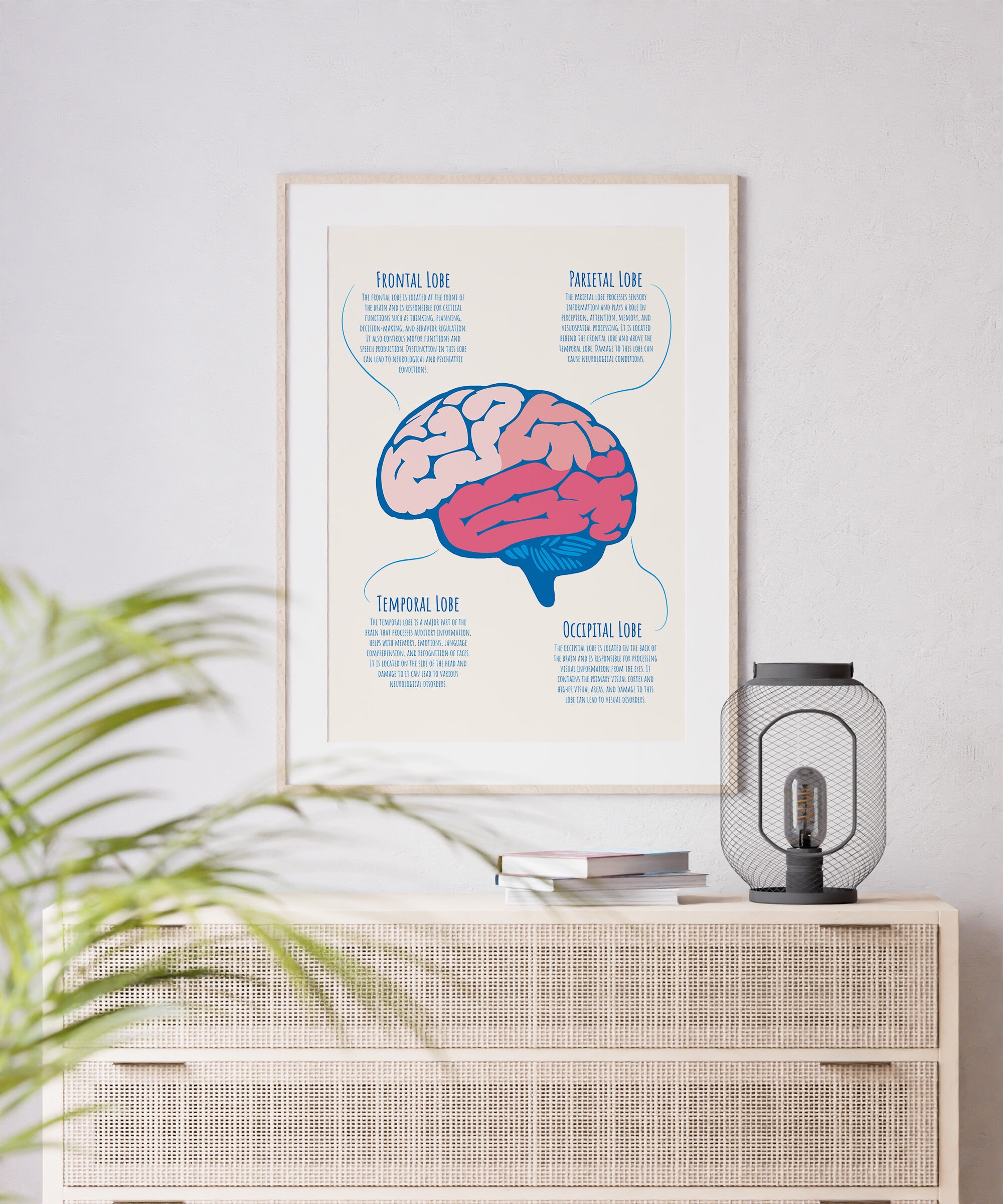 Brain Anatomy Poster, Printable Art, Therapy Office Decor, Brain ...