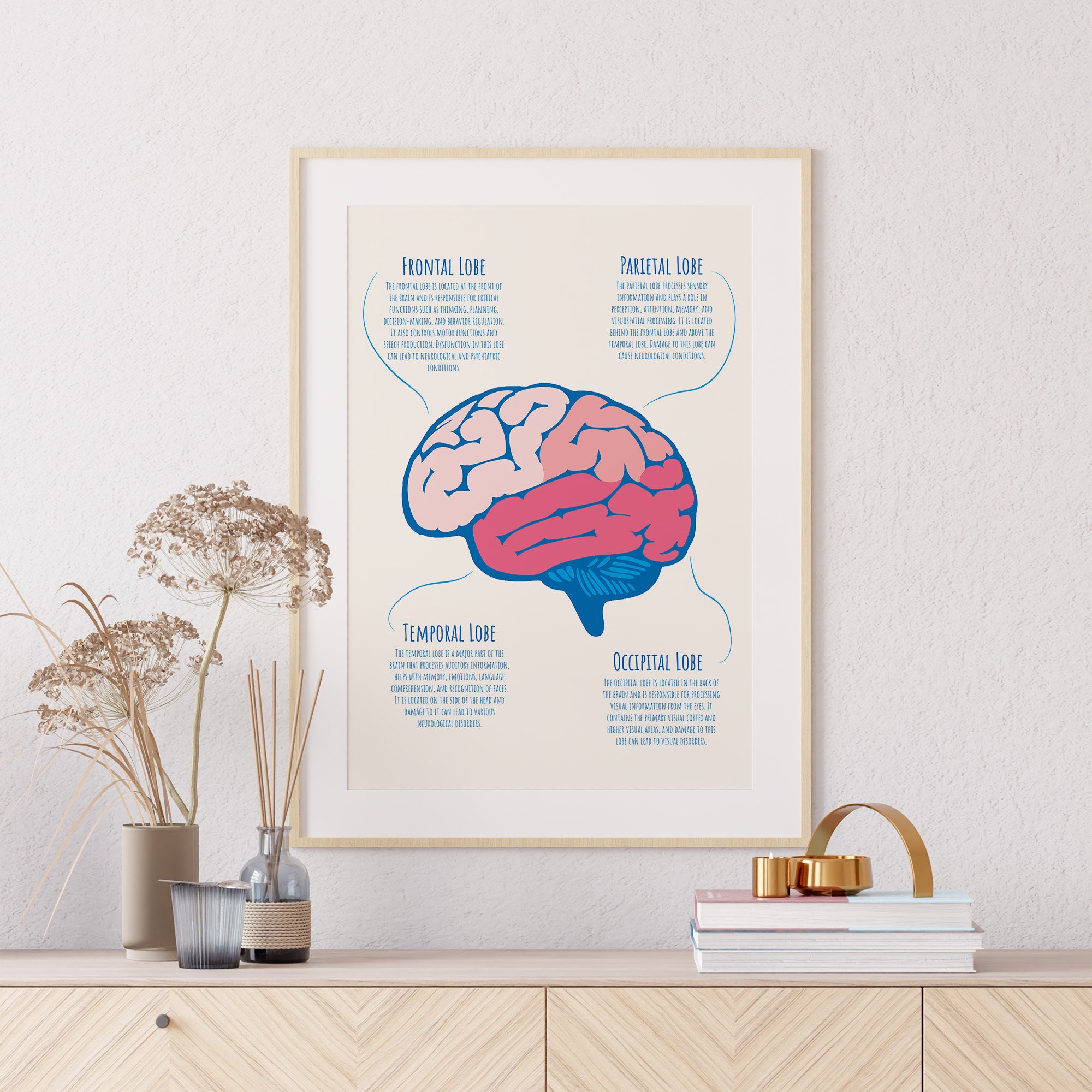 Brain Anatomy Poster, Printable Art, Therapy Office Decor, Brain ...