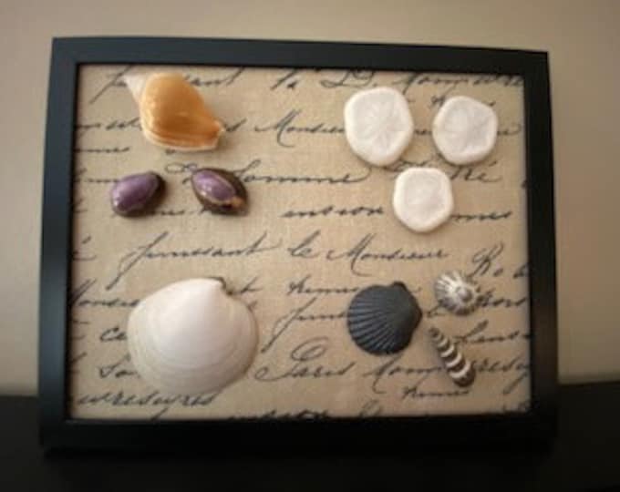 Coastal Wall Art Shell Wall Decor Shell Art Handmade Beach Decor - Etsy