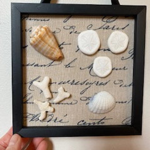 Shell Wall Decor - Etsy