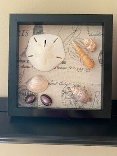 Coastal Wall Art Set of 3 Shell Wall Decor Handmade Beach Decor Shell ...