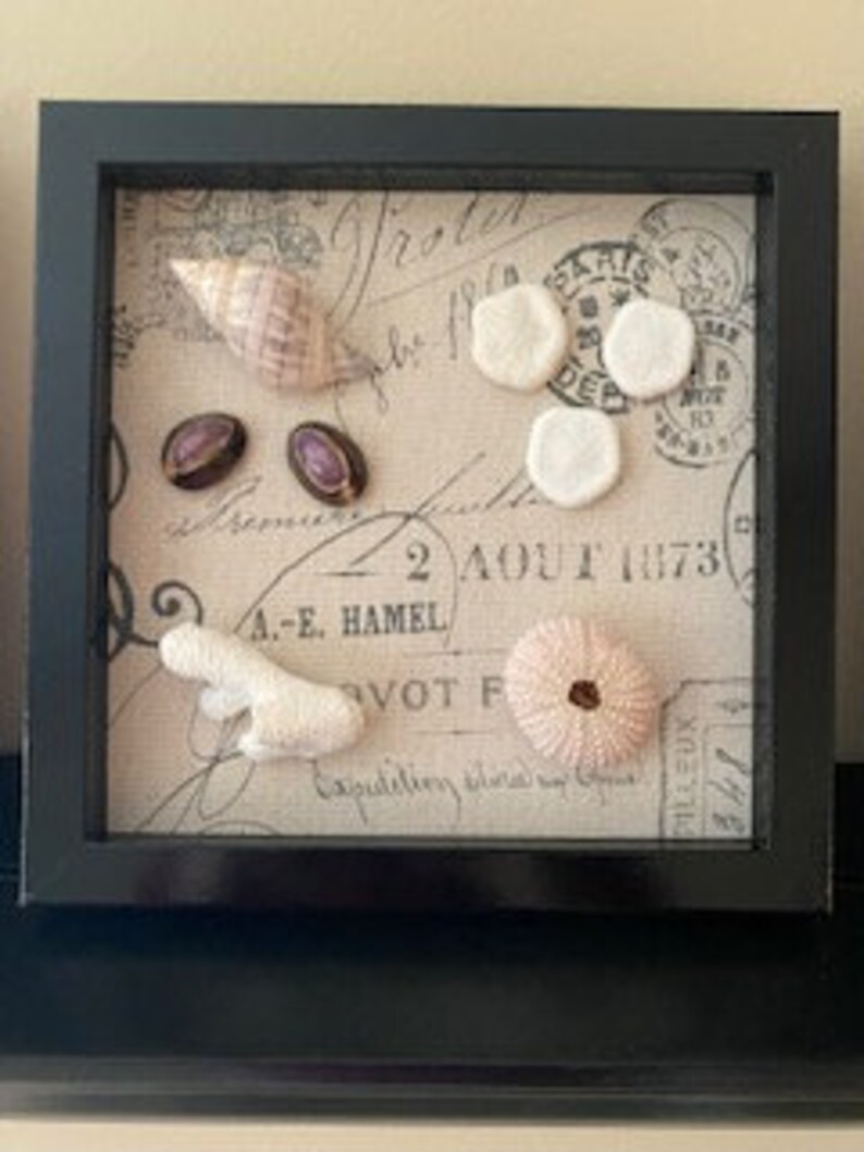 Coastal Wall Art Set of 3 Shell Wall Decor Handmade Beach Decor Shell ...