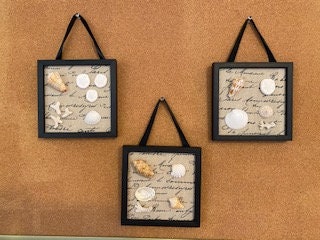 Coastal Wall Art Set of 3 Shell Wall Decor Shell Art Handmade - Etsy