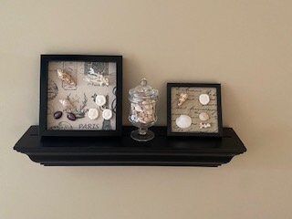 Coastal Wall Art Set of 3 Shell Wall Decor Shell Art Handmade - Etsy