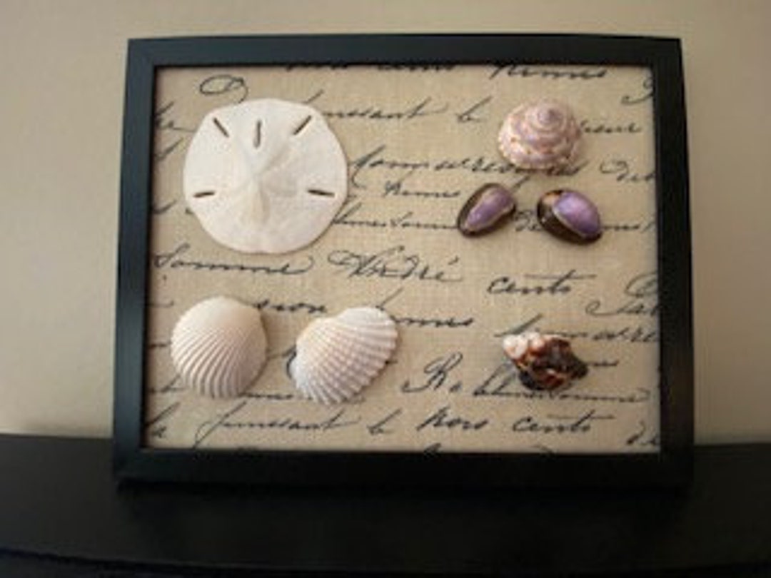 Coastal Wall Art Shell Wall Decor Shell Art Handmade Beach - Etsy