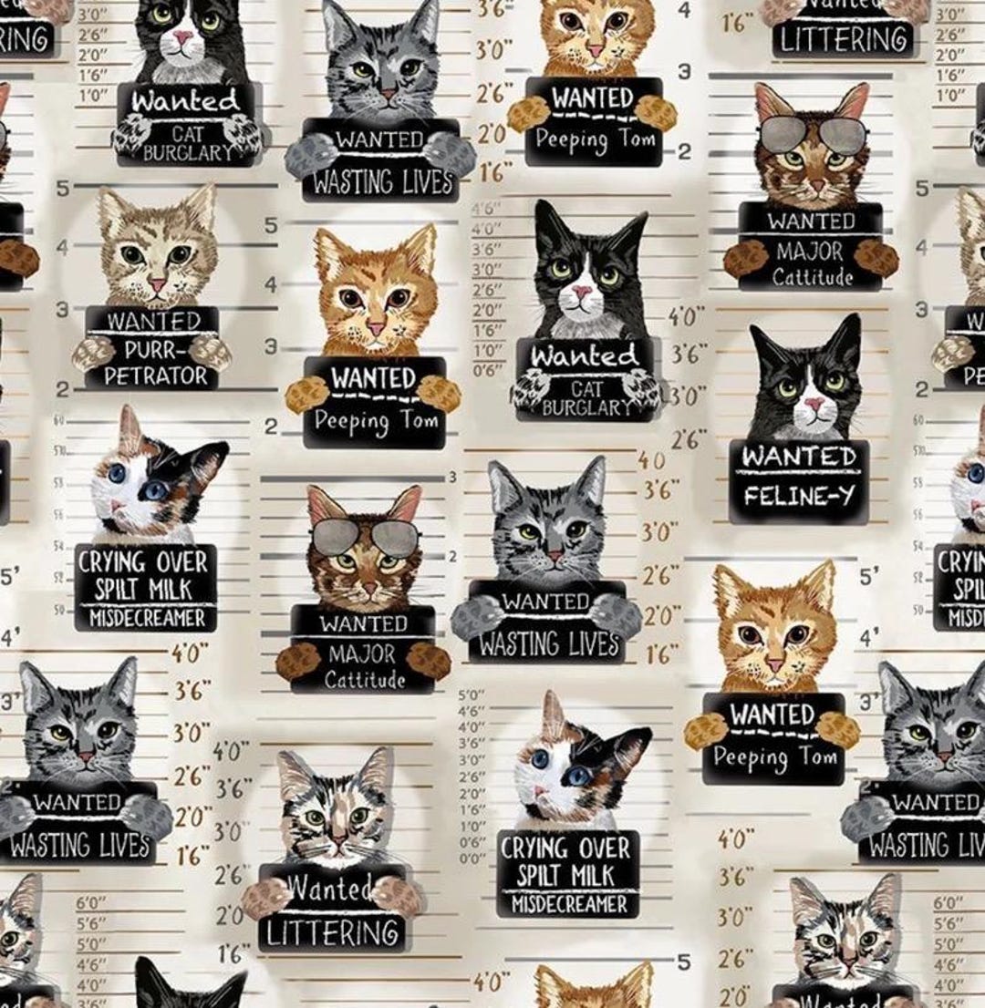 Cat Wanted Cat Mugshots by Timeless Treasures, Cats Cotton Fabric ...
