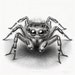 Cute Jumping Spider Tattoo Design White Background PNG File Download ...