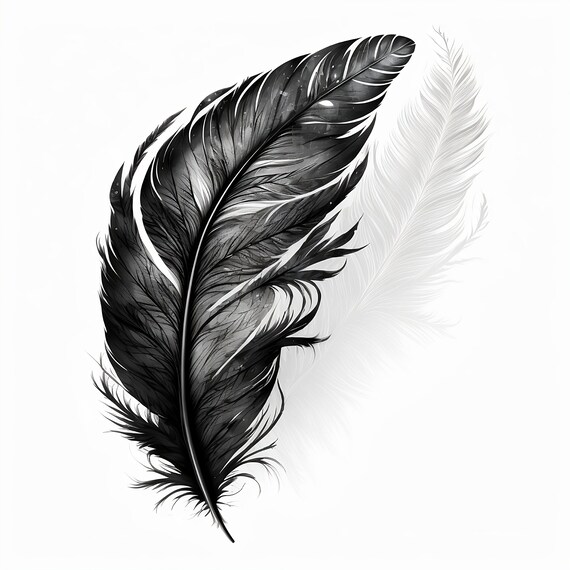 Diseños De Plumas Para El Fondo