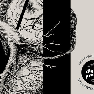 Capital Letter M Deco Poster | Monogram Poster Letter M Wall Art ...