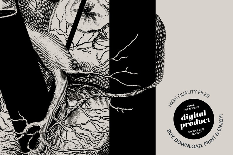 Capital Letter M Deco Poster | Monogram Poster Letter M Wall Art ...