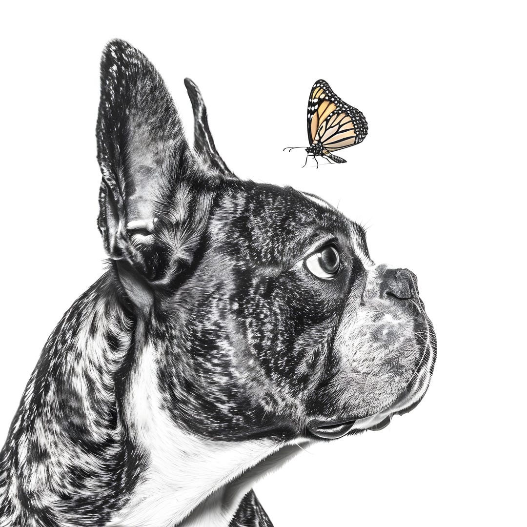 Dog & Butterfly Digital Art Bundle, 22 Printable Dog Portraits, High ...