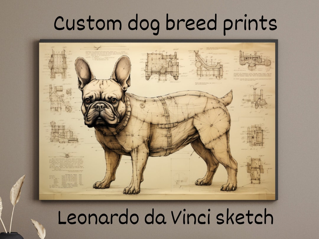 Custom Dog Portrait, Dog Breed Drawing, Dog Sketch, Unique Dog Picture ...