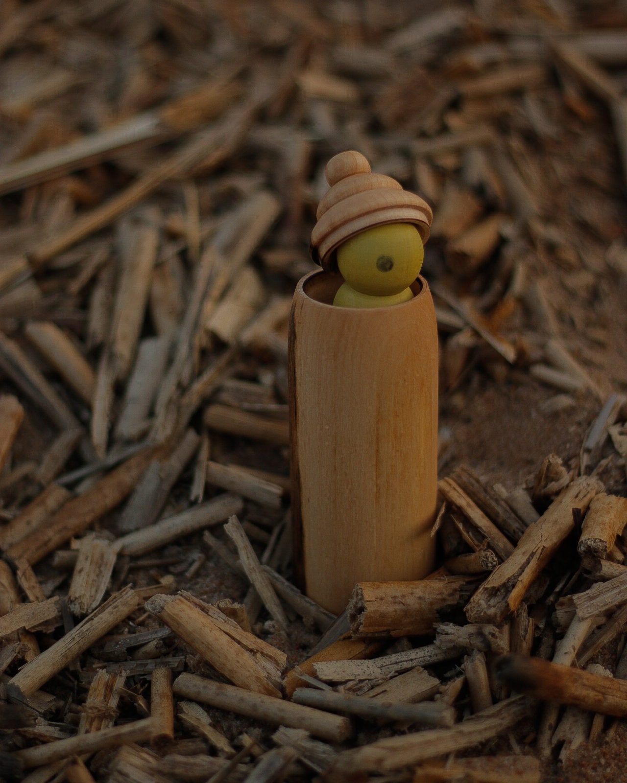 Wooden Insects. Butterfly's Life Cycle. Wooden Toys. - Etsy