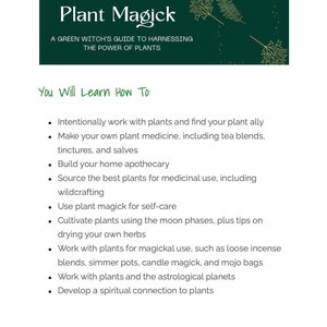 Plant Magick: A Green Witch's Guide to Harnessing the Power of Plants ...