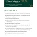 Plant Magick: A Green Witch's Guide to Harnessing the Power of Plants ...