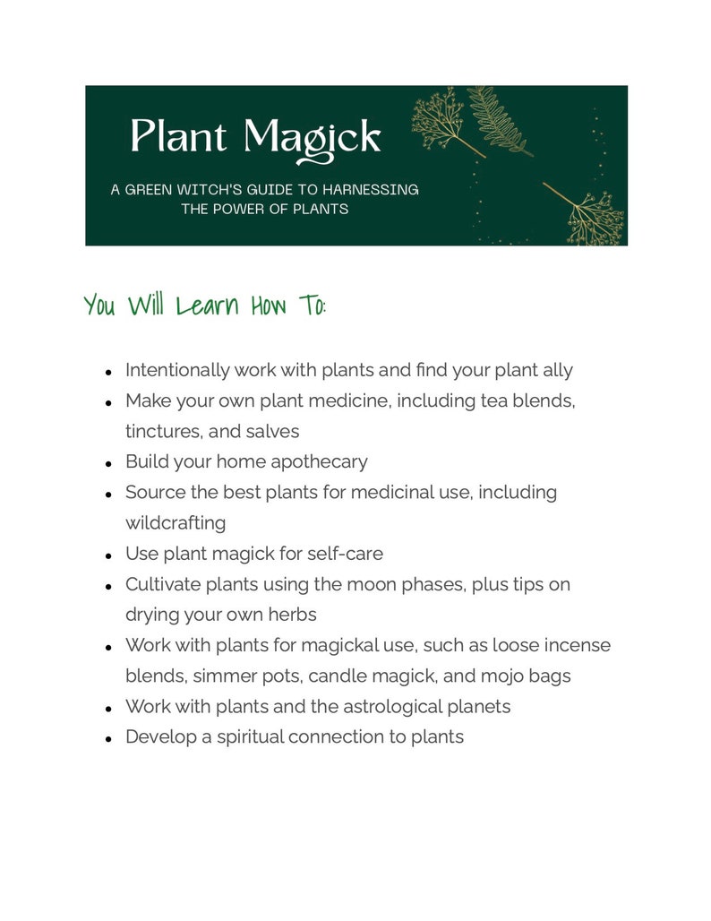 Plant Magick: A Green Witch's Guide to Harnessing the Power of Plants ...