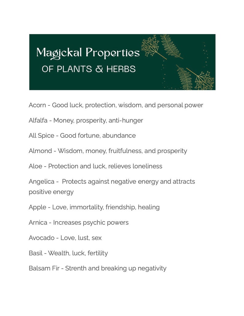 Plant Magick: A Green Witch's Guide to Harnessing the Power of Plants ...